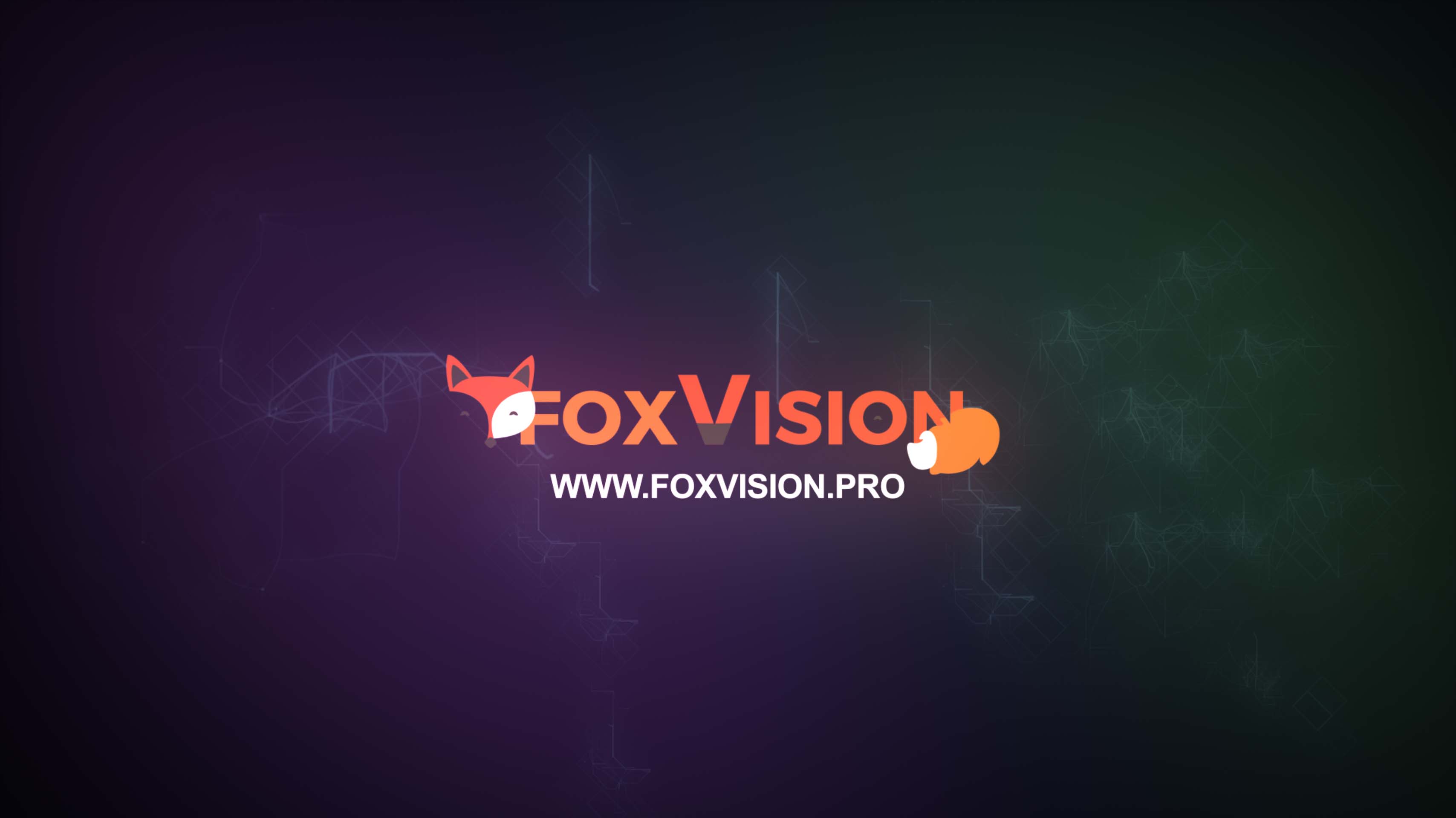 FoxVision - L'entreprise e-commerce innovante